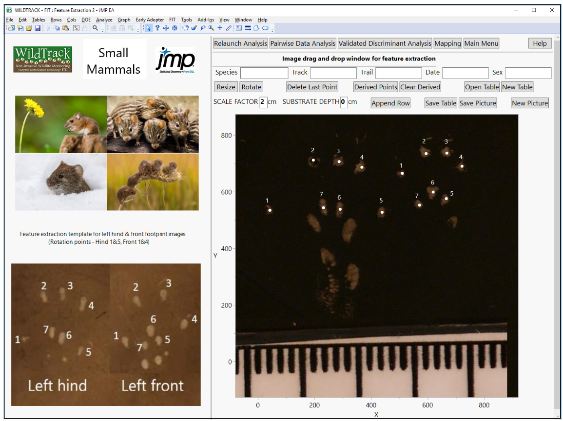 WildTrack | Non-Invasive Wildlife Monitoring - WildTrack