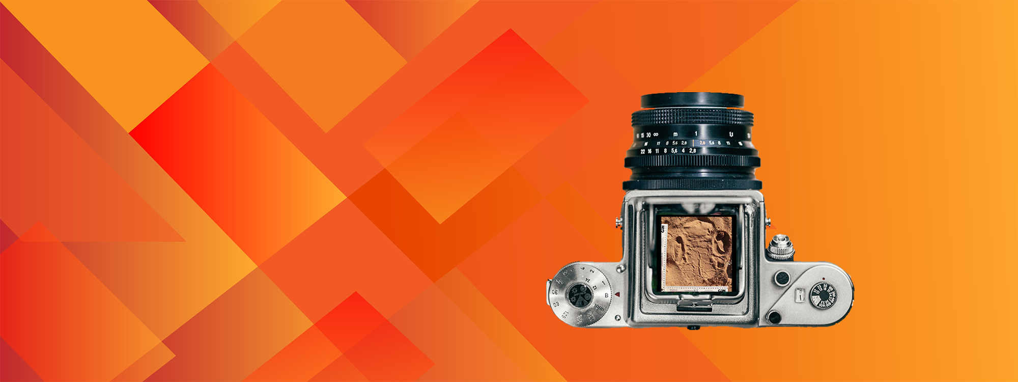 WildTrack | Non-Invasive Wildlife Monitoring - WildTrack